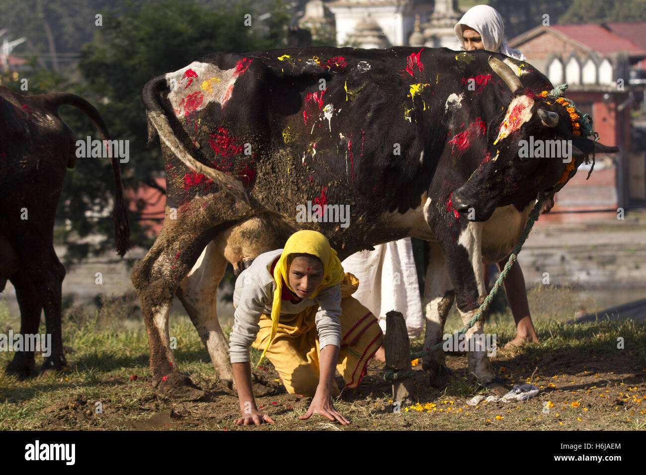 Kathmandu, Nepal. 30th Oct, 2016. A Nepalese priest passes below a ...