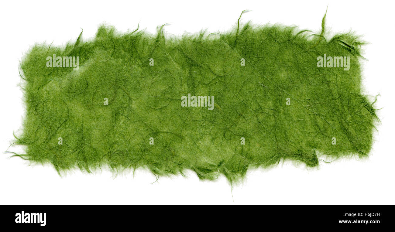 Texture of green rice paper with torn edges. Isolated on white ...