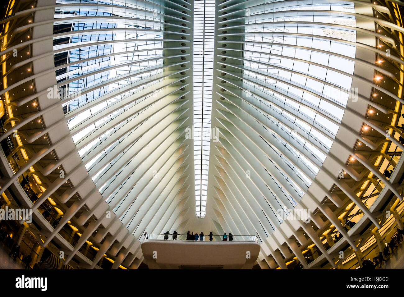 New York, NY Oculus transportation Hub at the World Trade Center ...