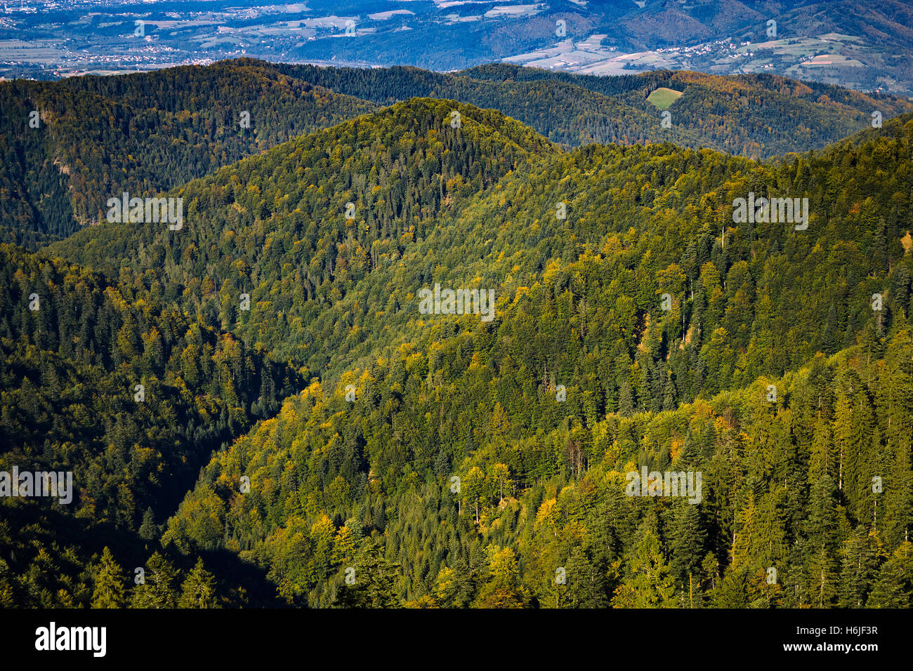Beskids hi-res stock photography and images - Alamy
