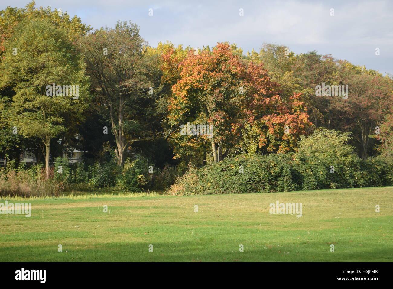 Autumn views in our parks Stock Photo - Alamy