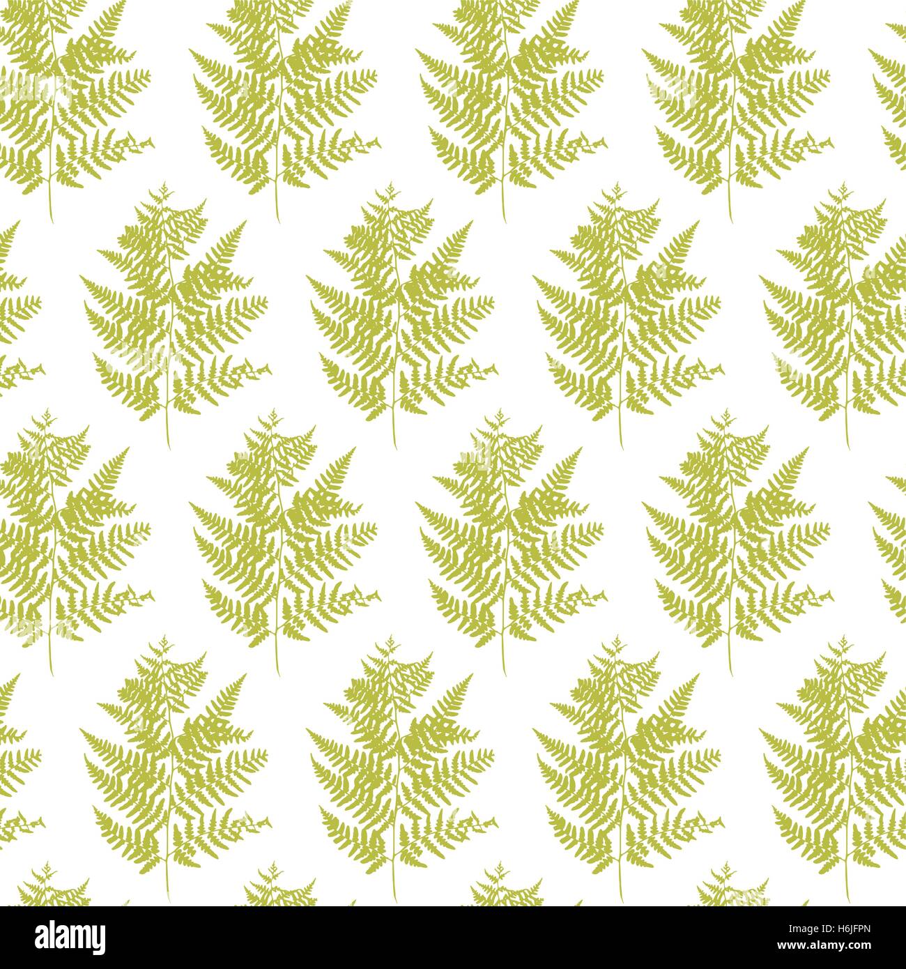 Fern seamless pattern vector vectors hi-res stock photography and images - Alamy
