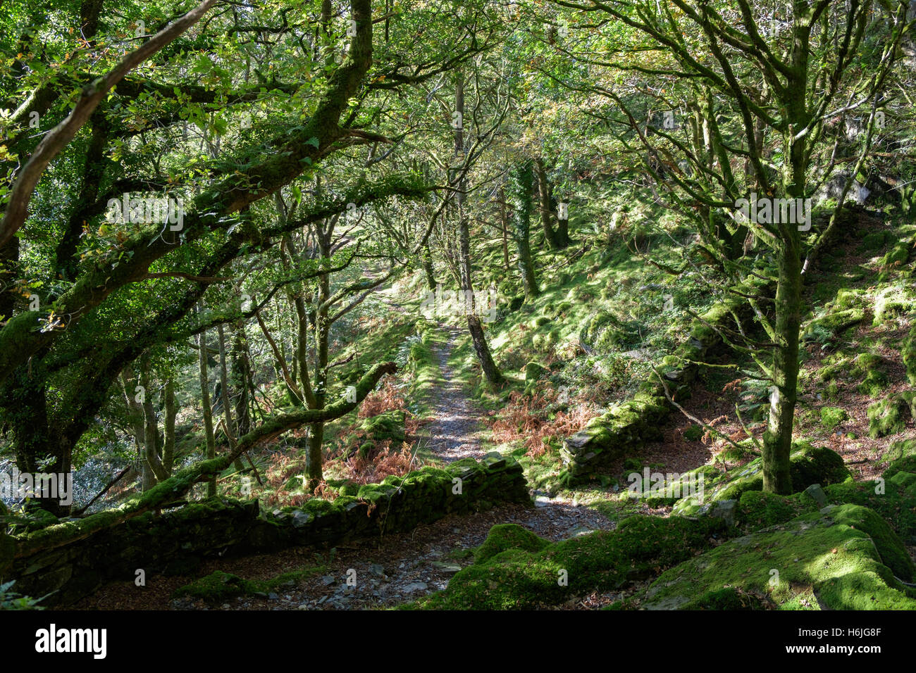 Nantmor path hi-res stock photography and images - Alamy