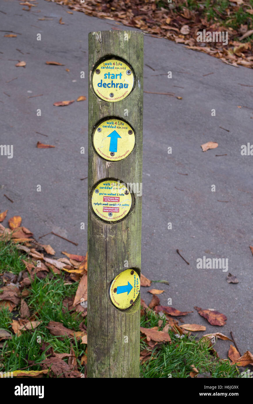 Woodland signpost in UK Stock Photo - Alamy
