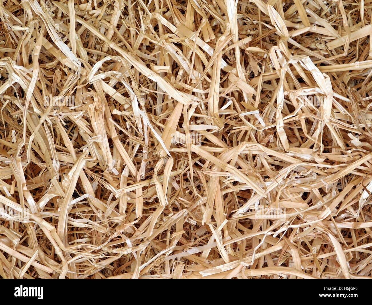 Texture of straw Stock Photo - Alamy