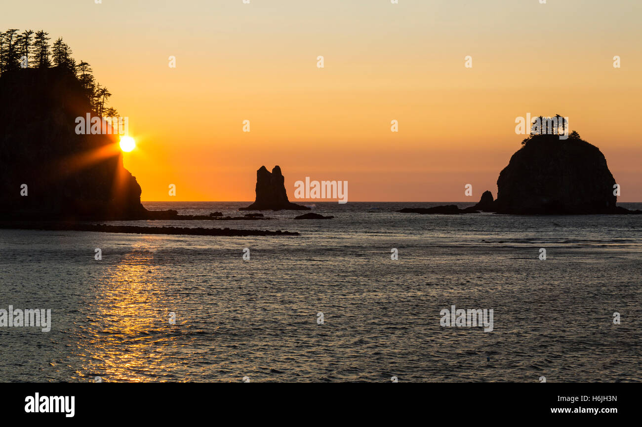 La Push Beach at sunset. La Push Olympic Peninsula Washington USA Stock ...