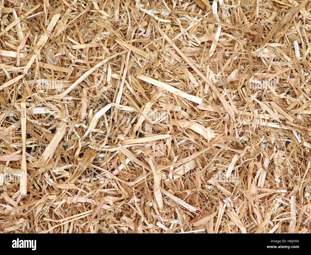 Texture of straw Stock Photo - Alamy