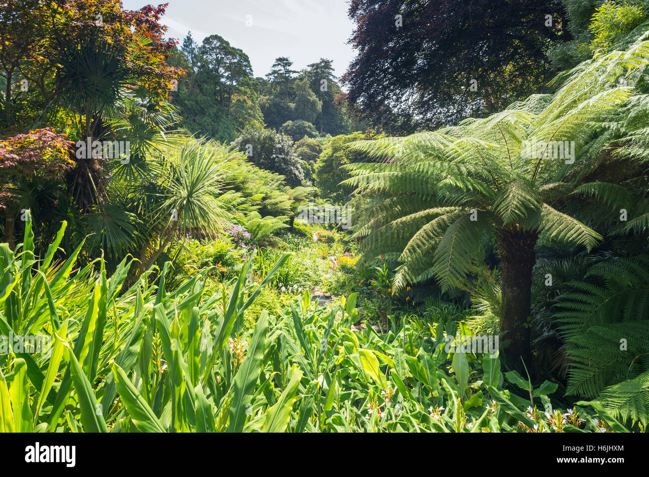 Panorama of a Cornish horticulture heritage with colourful blooming ...