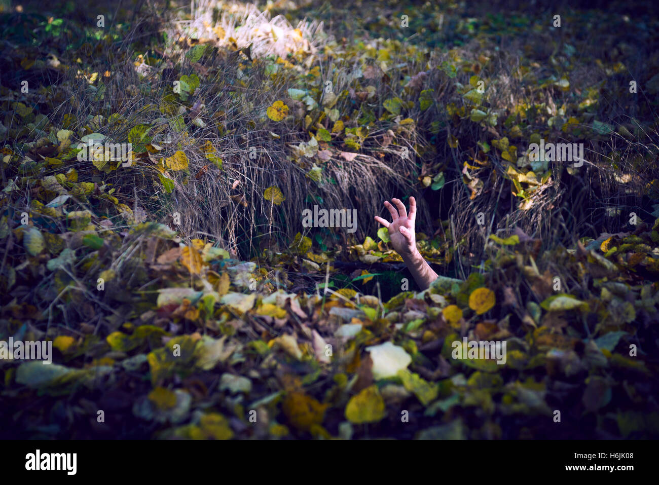 Hand sticking out from hi-res stock photography and images - Alamy