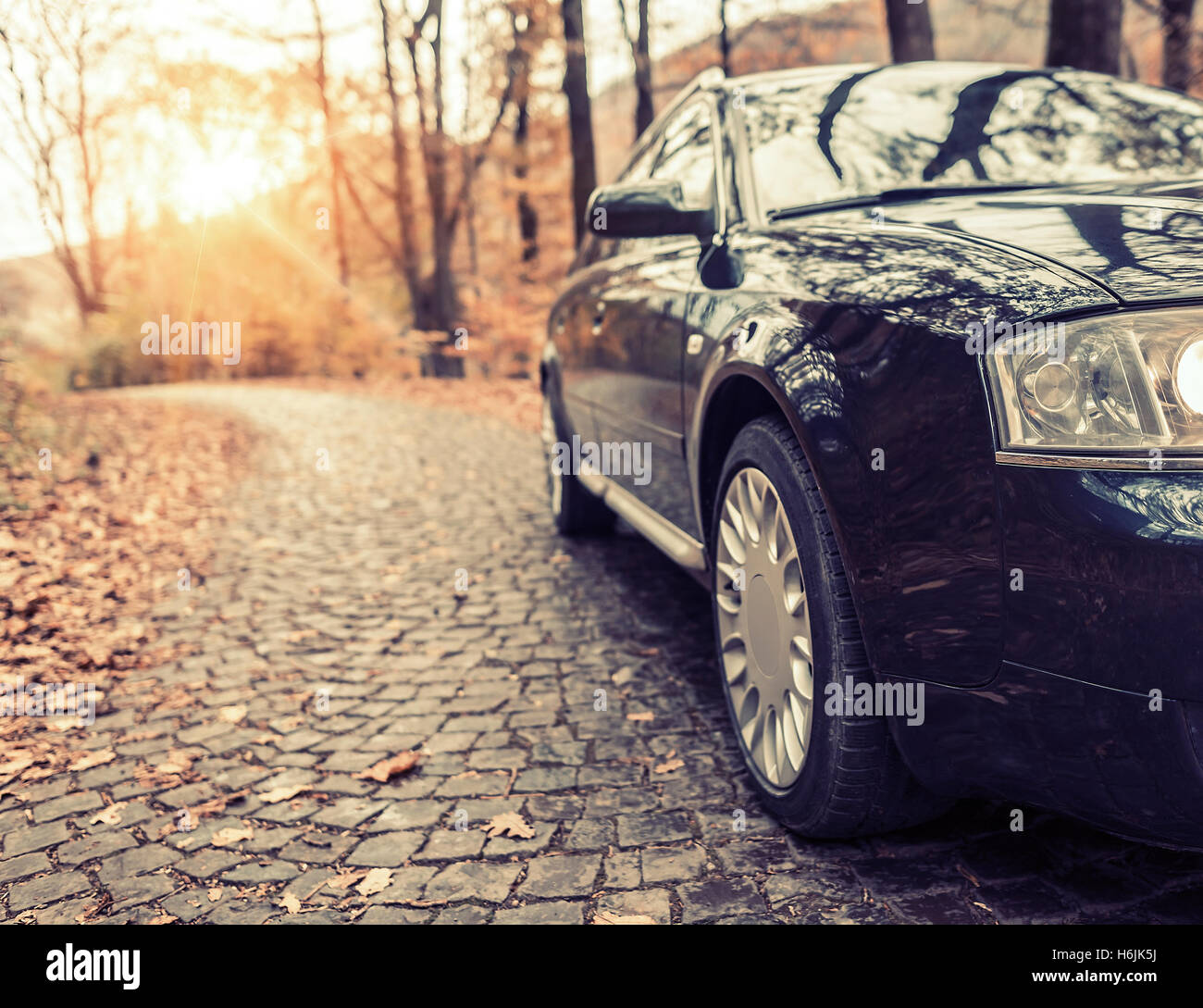 Fragment of the car in the park Stock Photo - Alamy