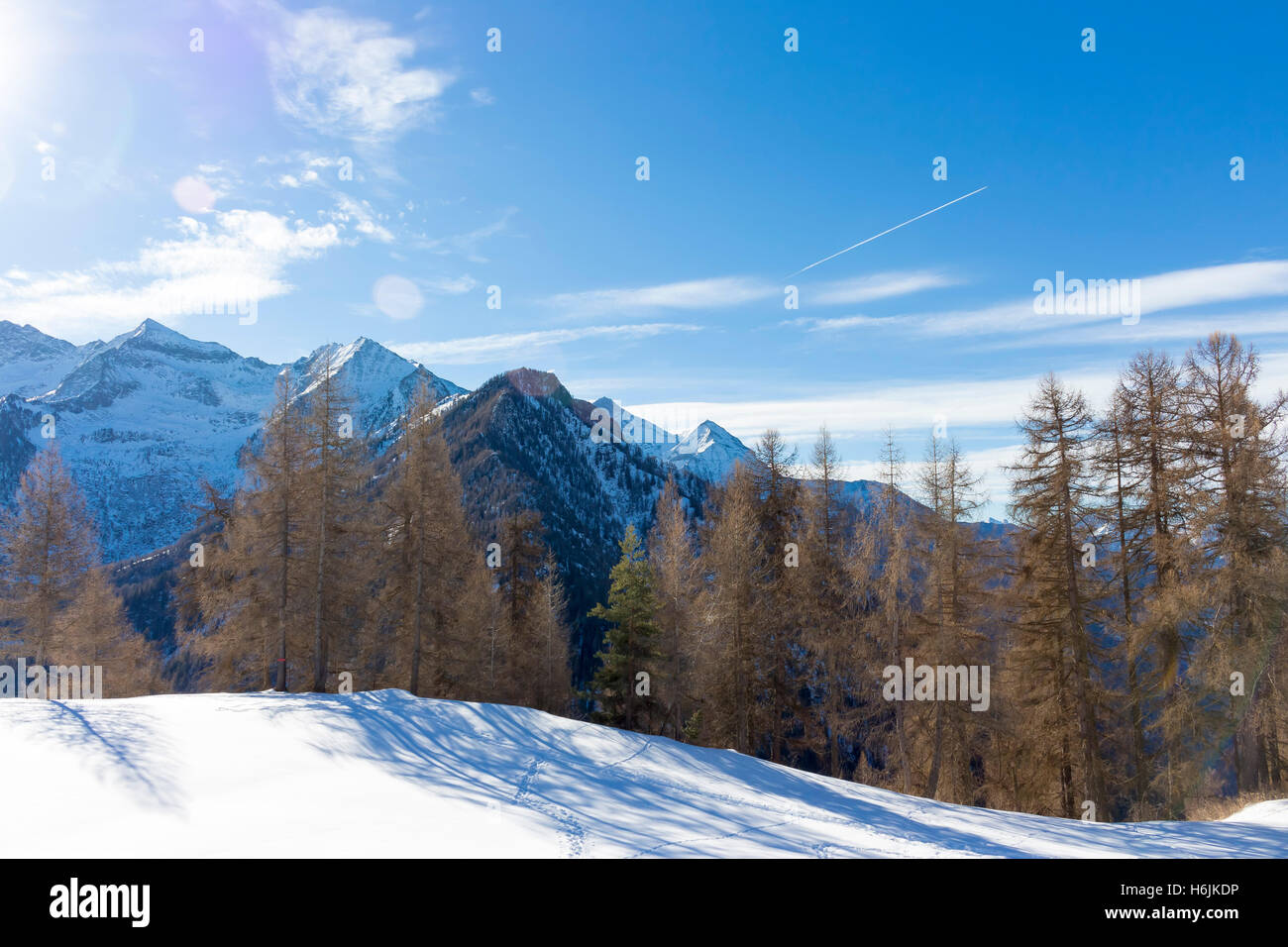 Alpine landscape with mountains, trees and snow Stock Photo - Alamy