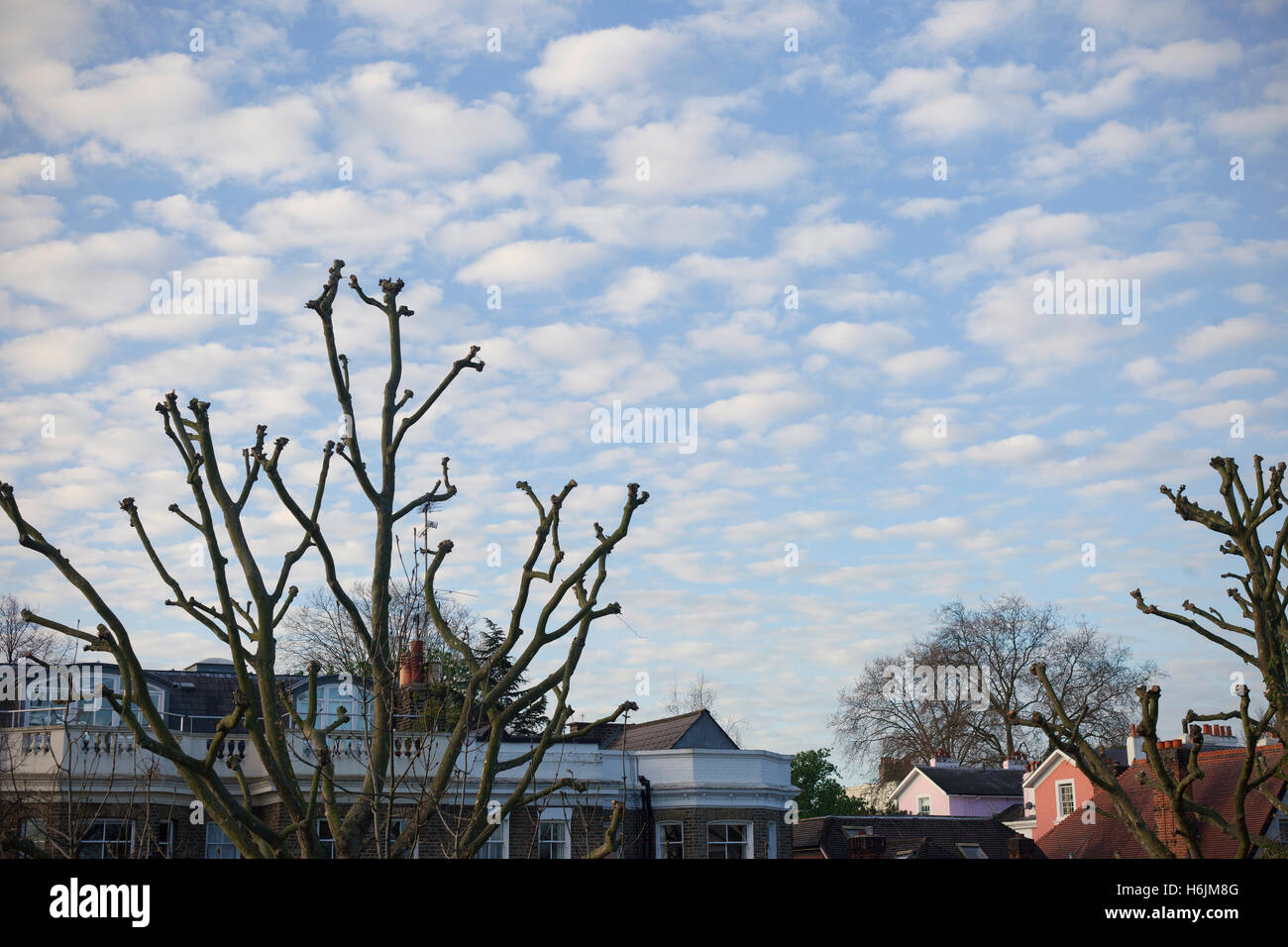 Urban view from window, Camberwell, London Stock Photo - Alamy