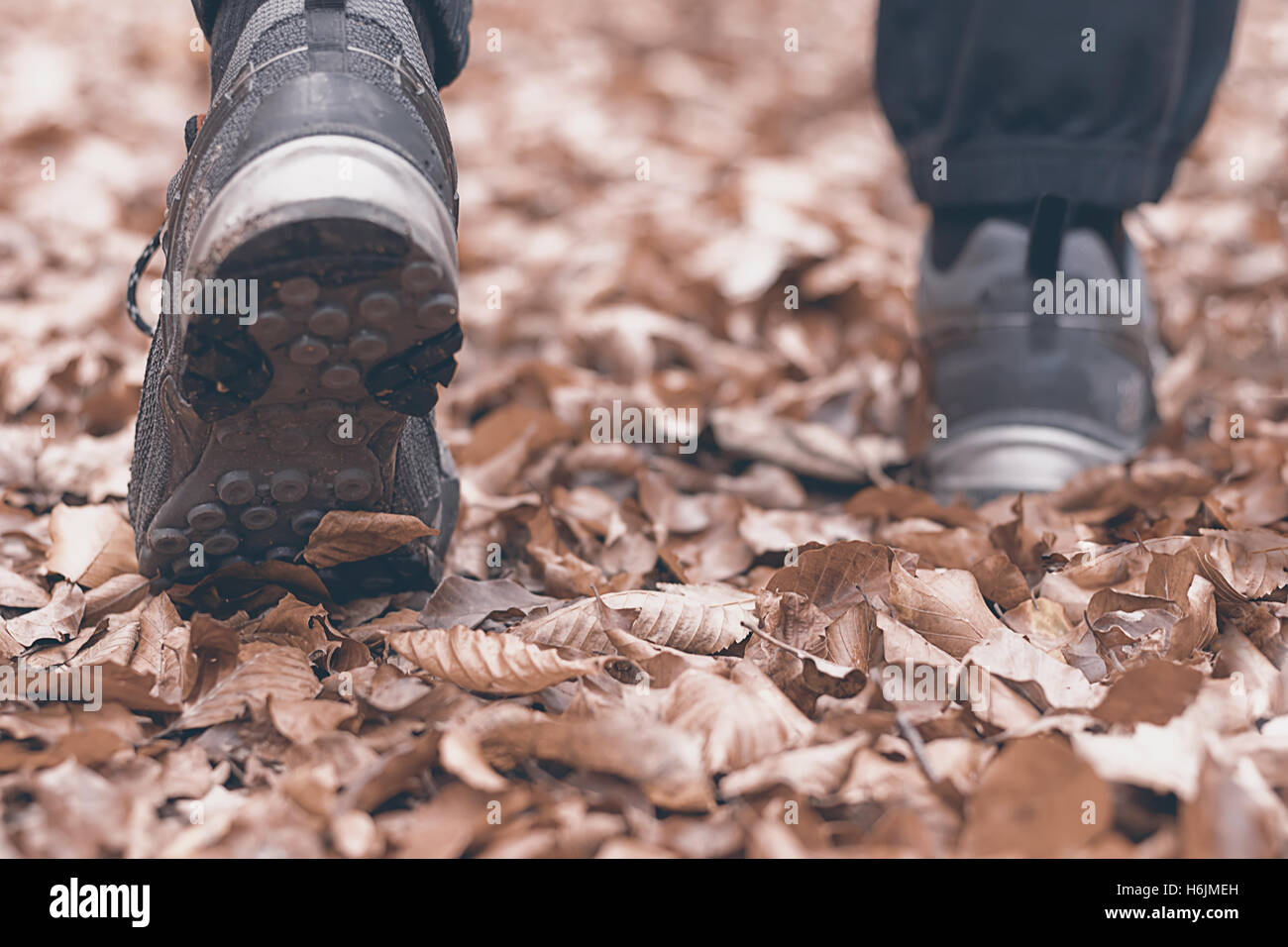 Forest leaves man walking. Autumn foliage Stock Photo - Alamy