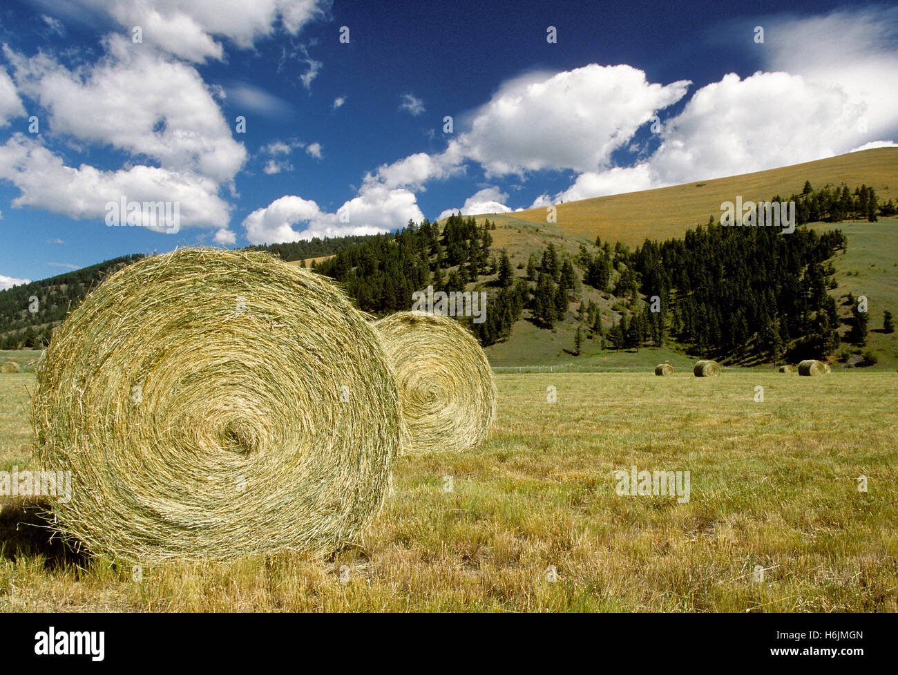 Hay bail hi-res stock photography and images - Alamy