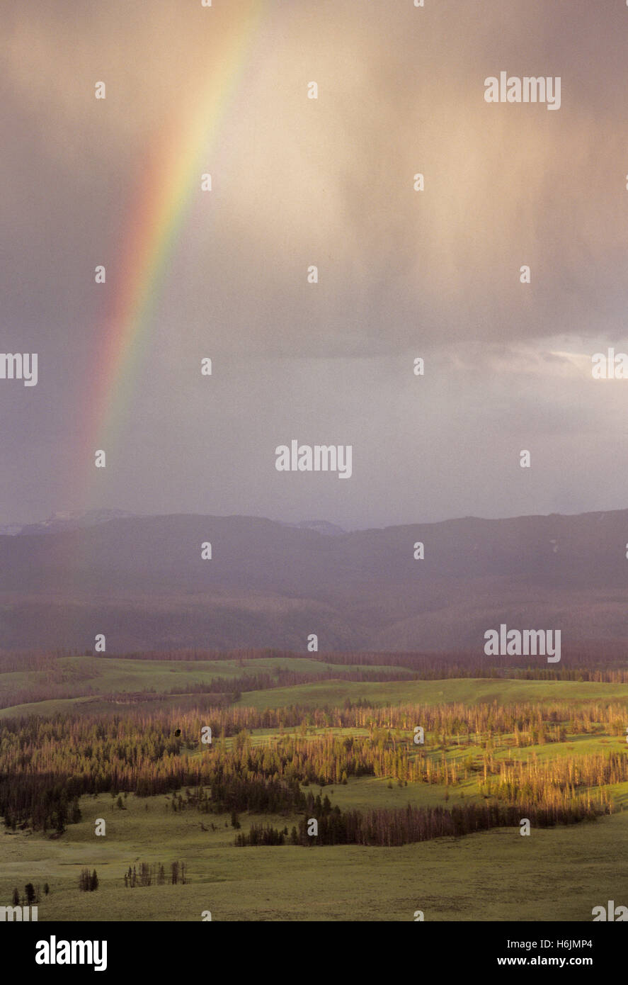 Rainbow Yellowstone National Park Stock Photo - Alamy