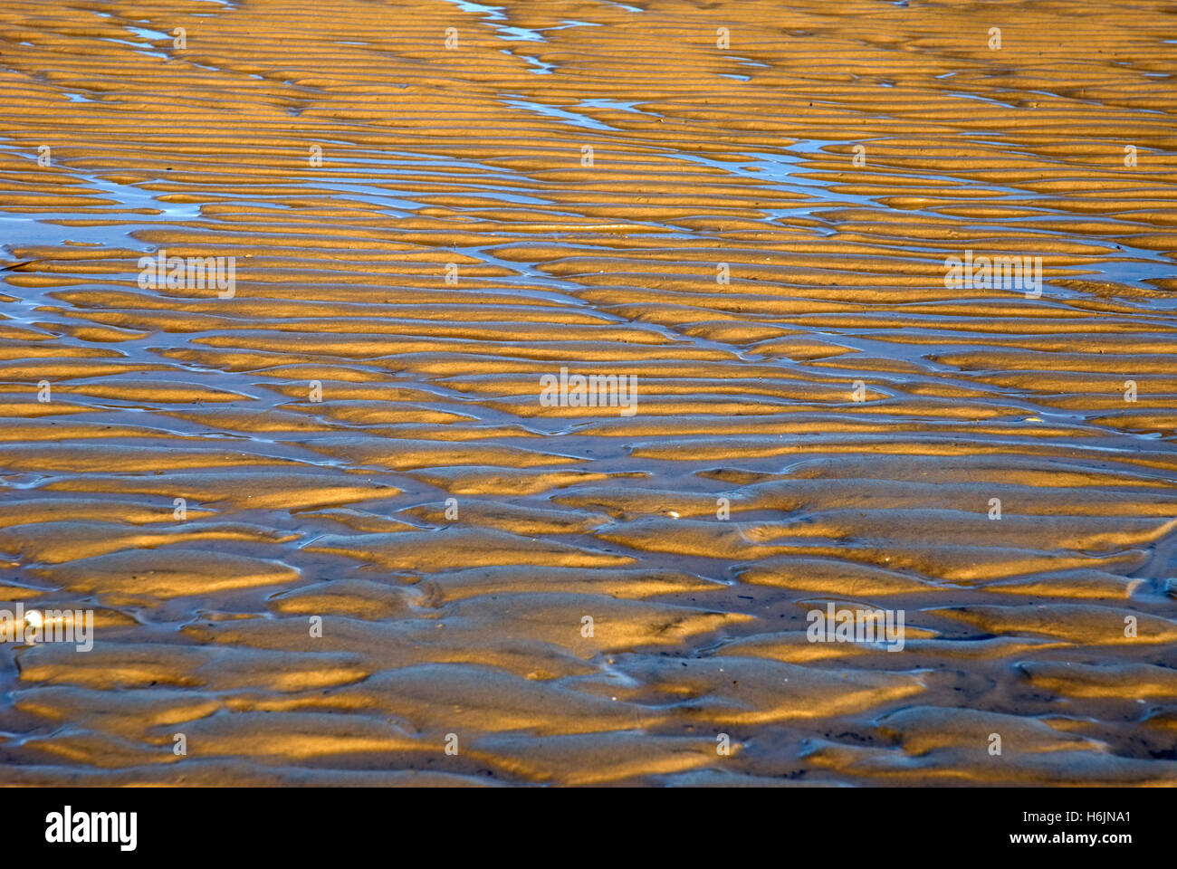 Gullies hi-res stock photography and images - Alamy