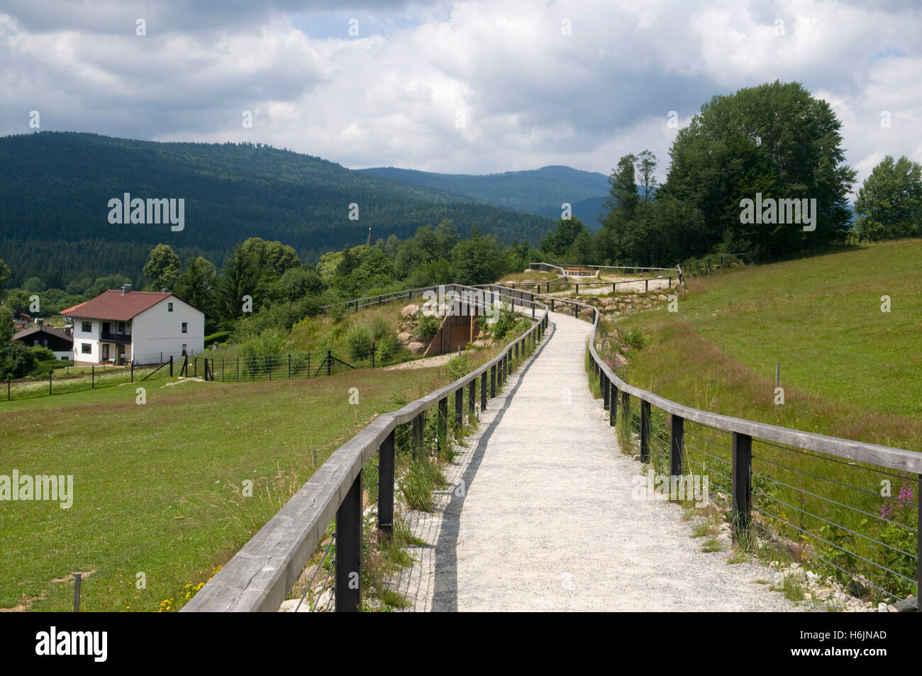 Hiking in the Bavarian Forest National Park, Bavaria Stock Photo - Alamy