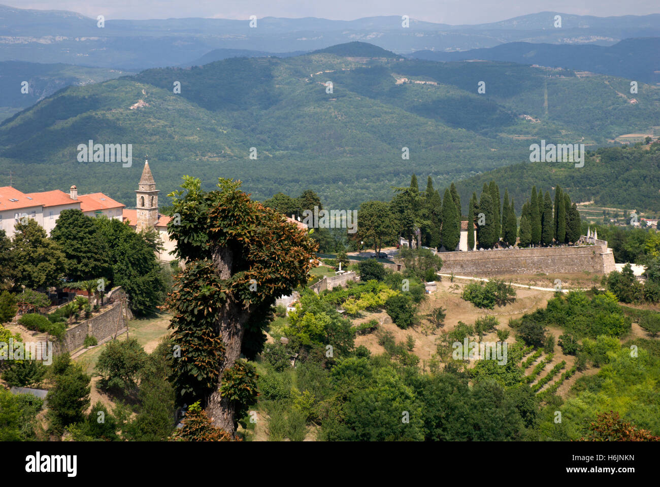 Mountain village of Motovun, Mirna Valley, Istria, Croatia, Europe ...