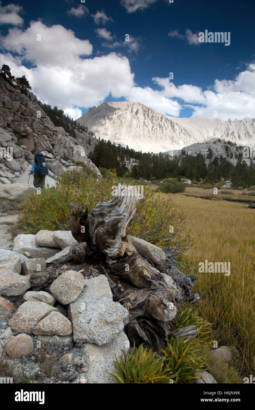 Hiking Mount Whitney, high point of California Stock Photo - Alamy