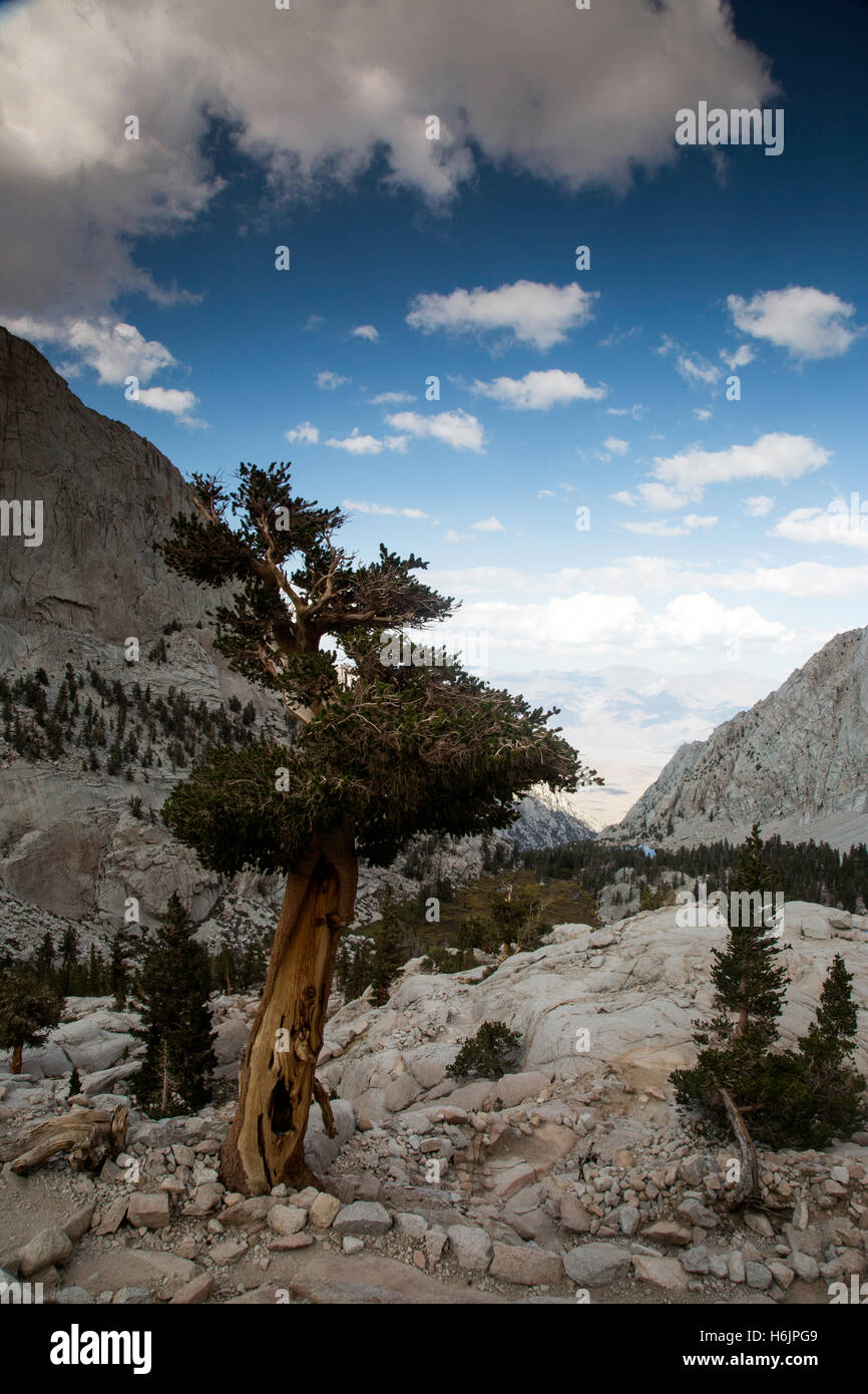 Hiking Mt. Whitney, the high point of California Stock Photo - Alamy