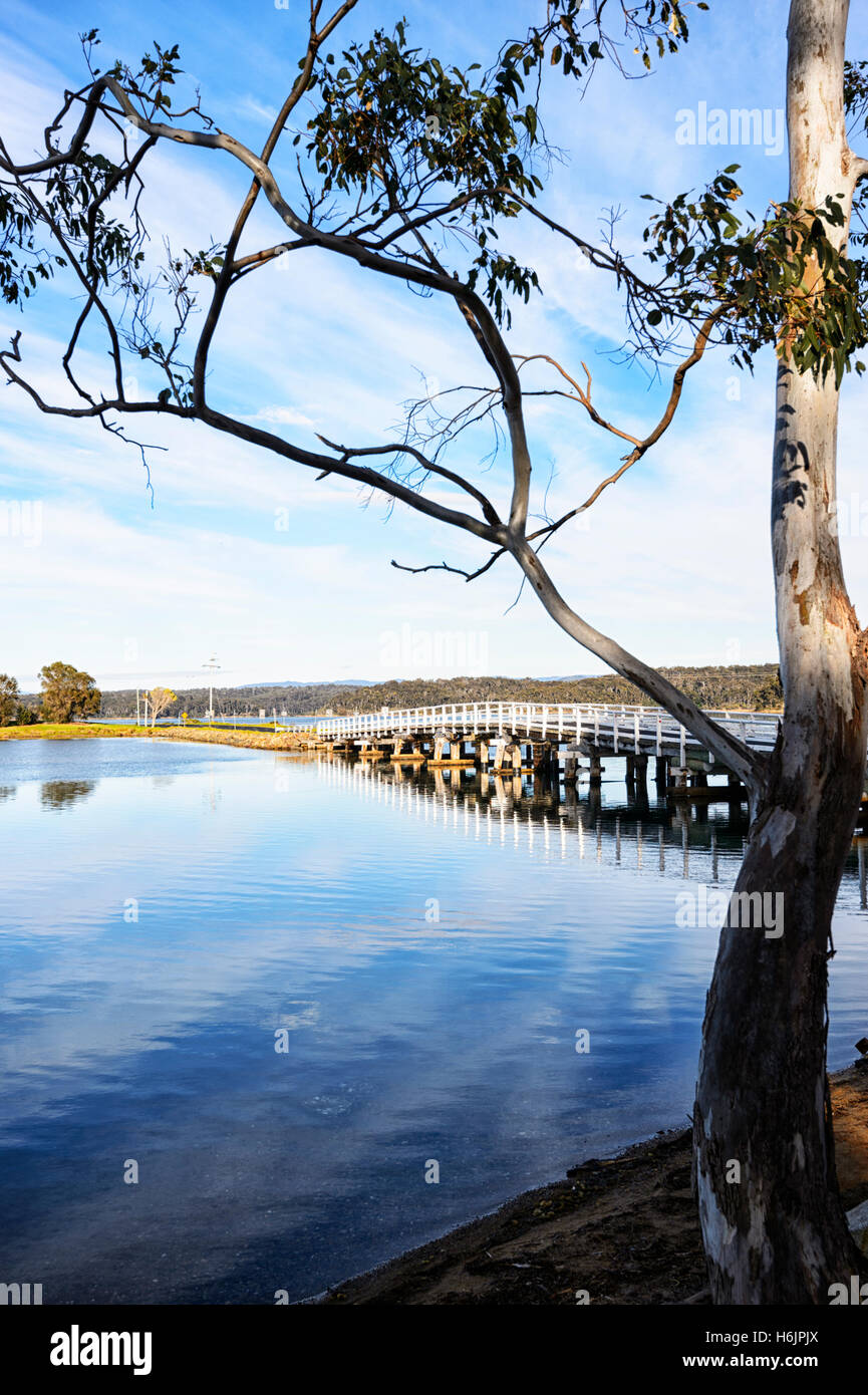 Wallaga hi-res stock photography and images - Alamy