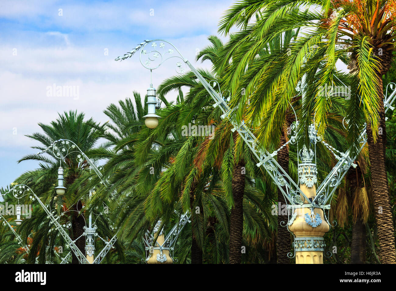 Palm tree copper hi-res stock photography and images - Alamy