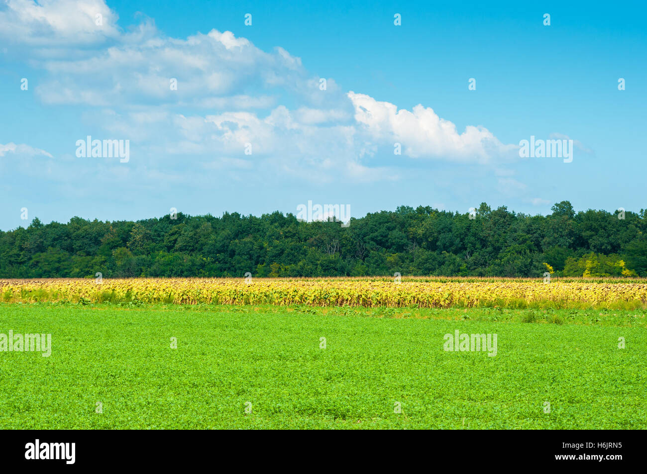 Natural meadow landscape hi-res stock photography and images - Alamy