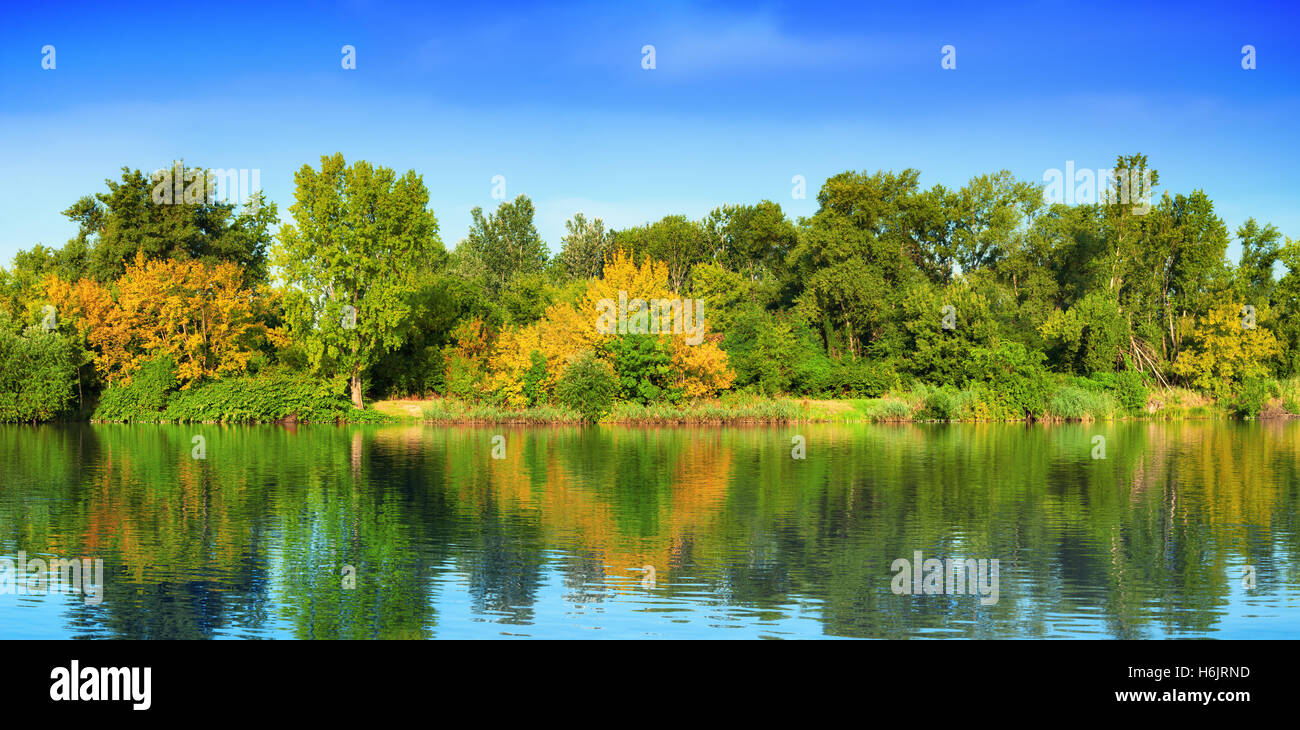 Colorful trees hi-res stock photography and images - Alamy