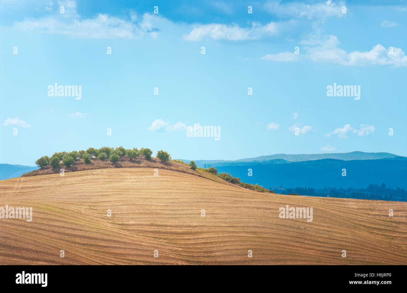 Rolling hills landscape in Tuscany, Italy Stock Photo - Alamy