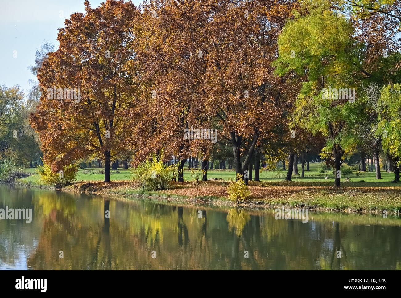 Small river and trees reflecting in the water in a beautiful autumn day ...