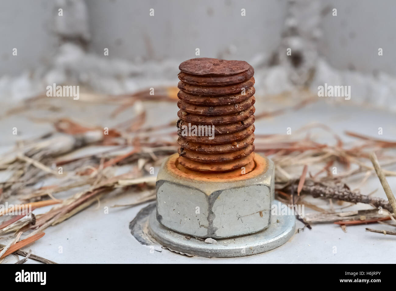 Closeup of a big rusty screw on a metal construction Stock Photo - Alamy