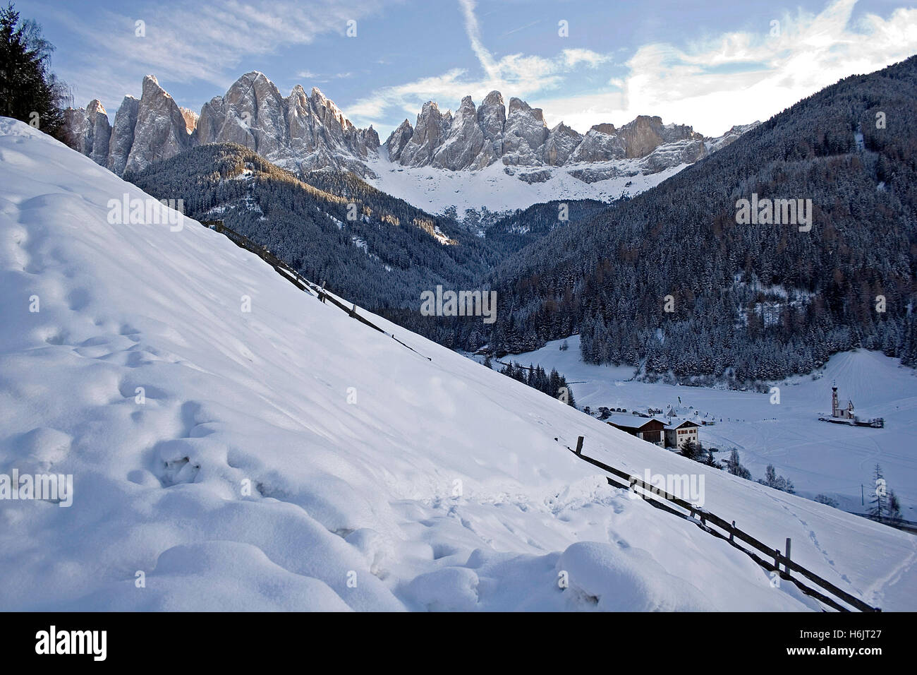 More geisler hi-res stock photography and images - Alamy