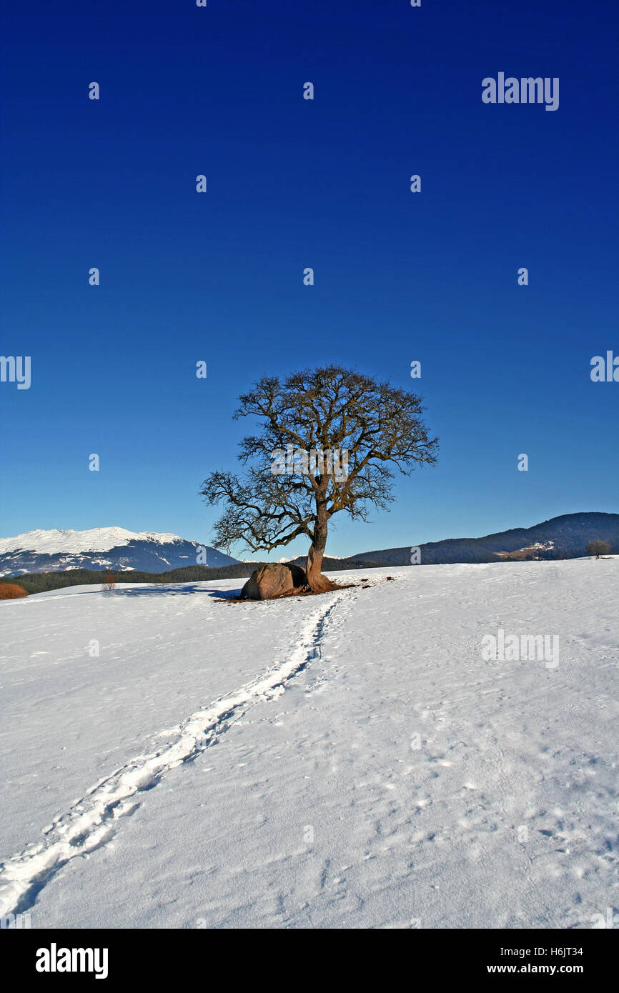 the center of life Stock Photo - Alamy