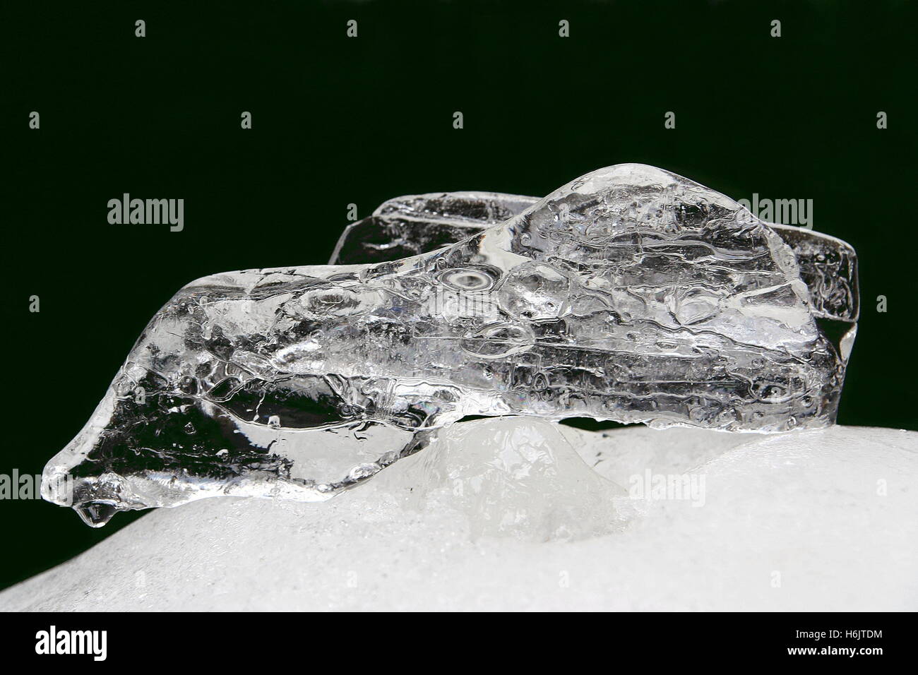 ice bird 1 Stock Photo - Alamy