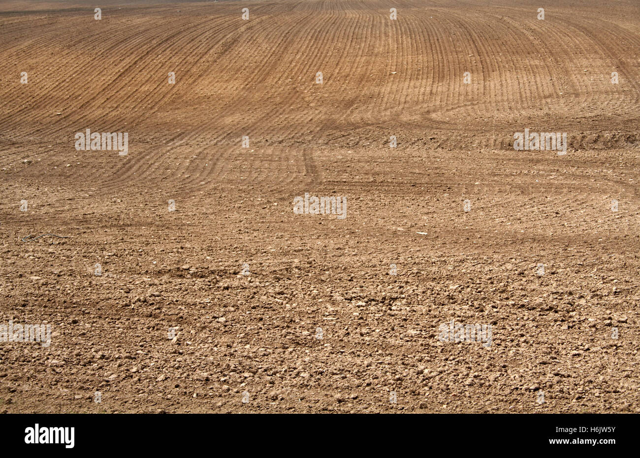 acker in may Stock Photo - Alamy