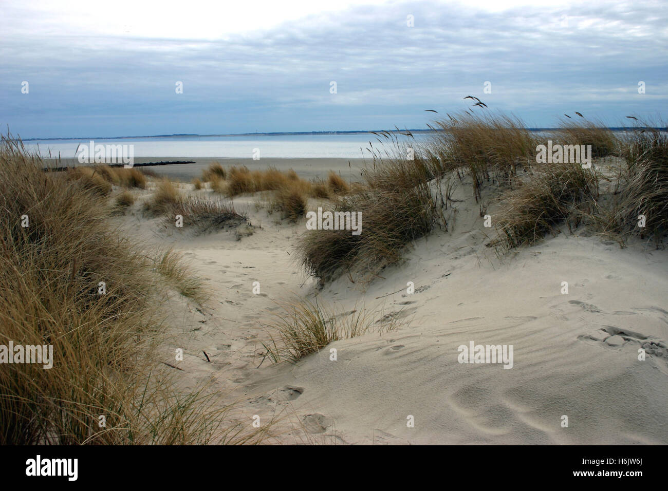 Insel fohr hi-res stock photography and images - Alamy