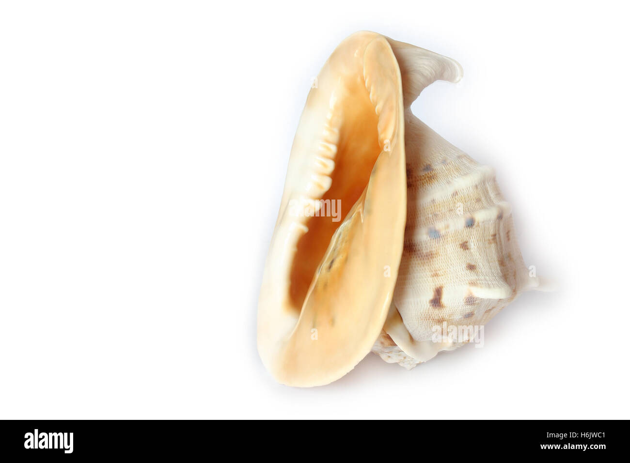 Beautiful beach waves Cut Out Stock Images & Pictures - Alamy