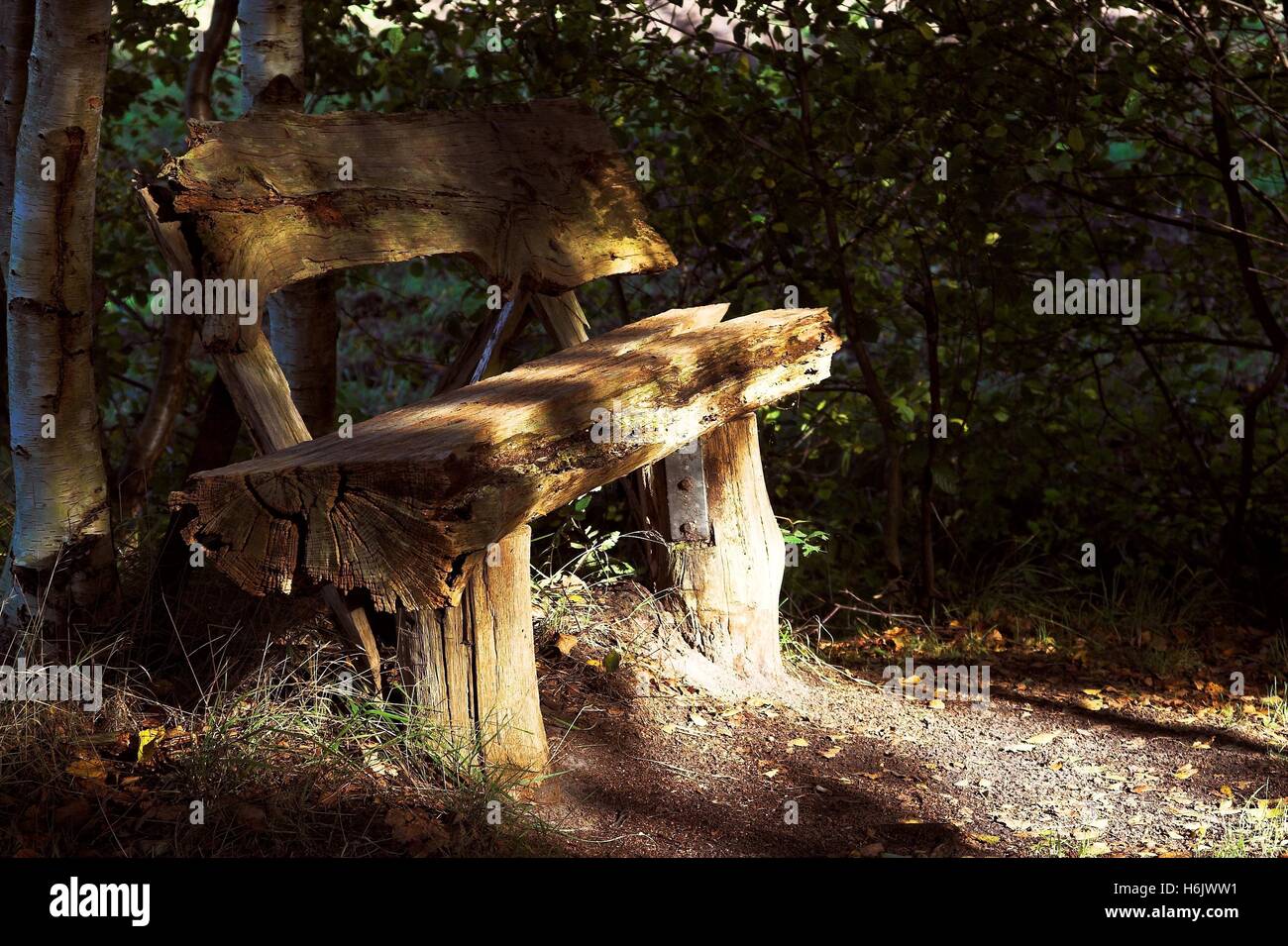 Rotten bench hi-res stock photography and images - Alamy