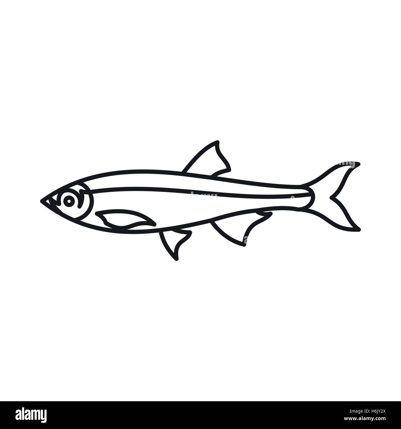 Anchovy fish illustration outline Stock Vector Images - Alamy