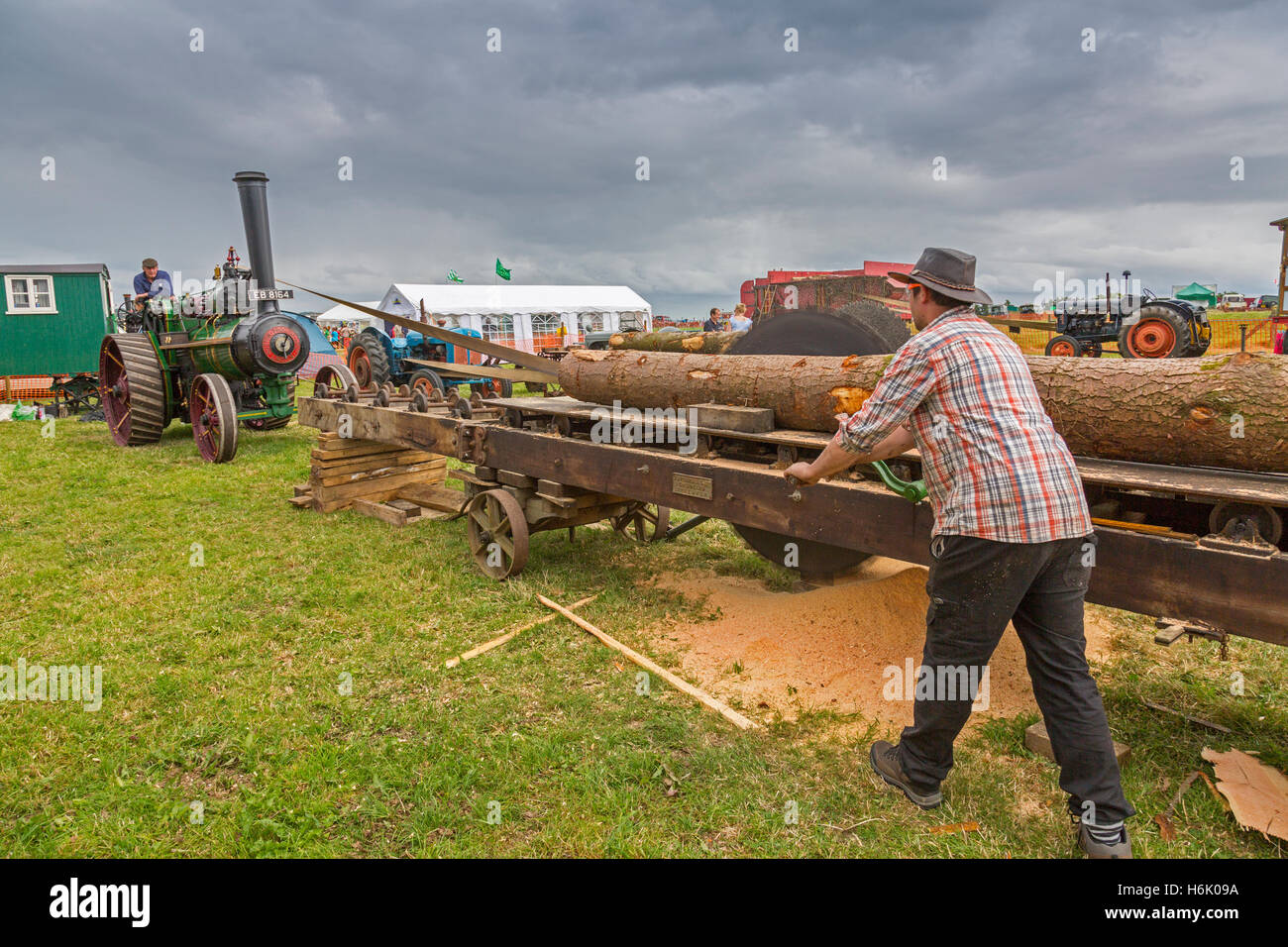 1917 Rushton Proctor traction engine 'Queenie' sawing logs at the Low ...