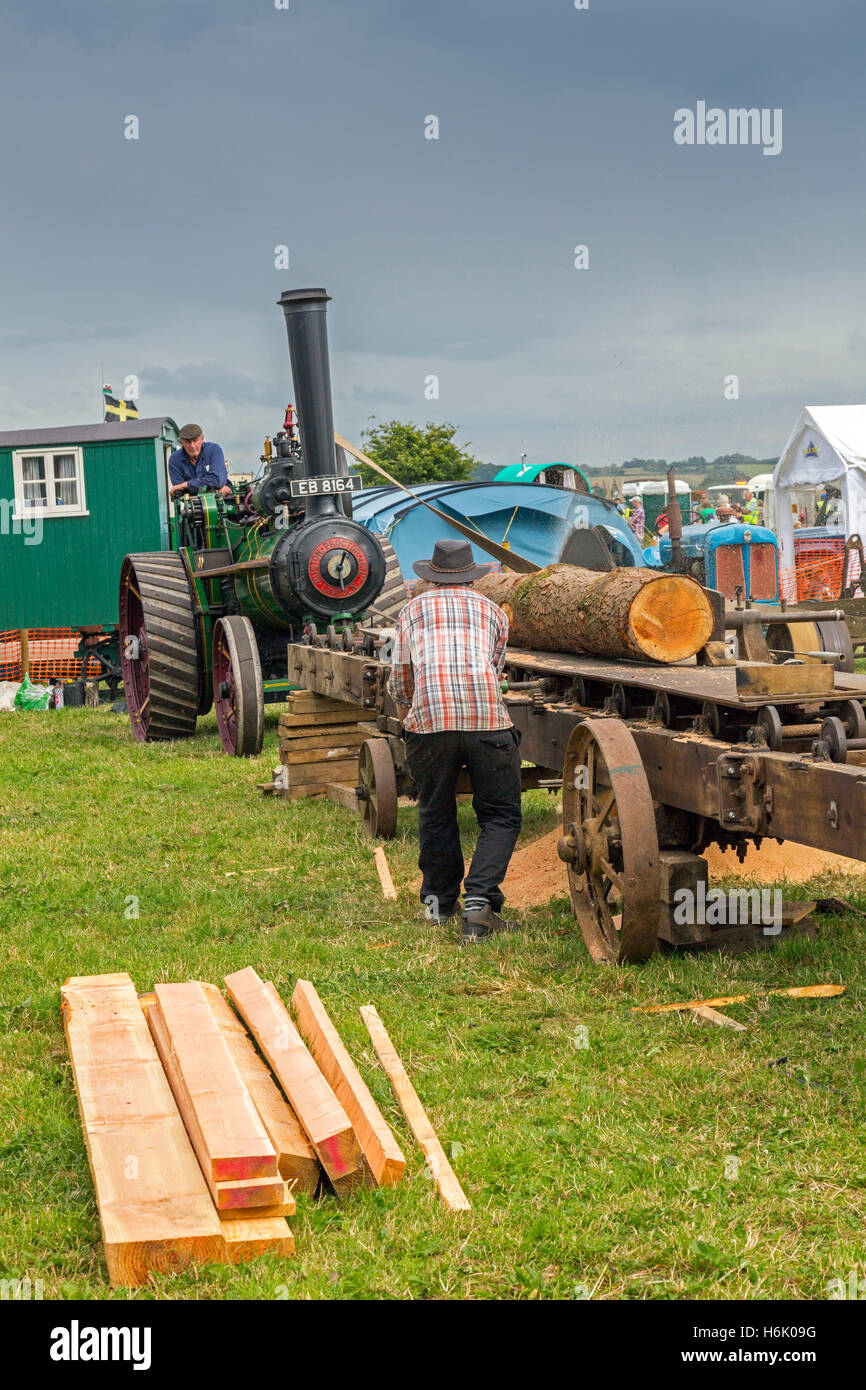 1917 Rushton Proctor traction engine 'Queenie' sawing logs at the Low ...
