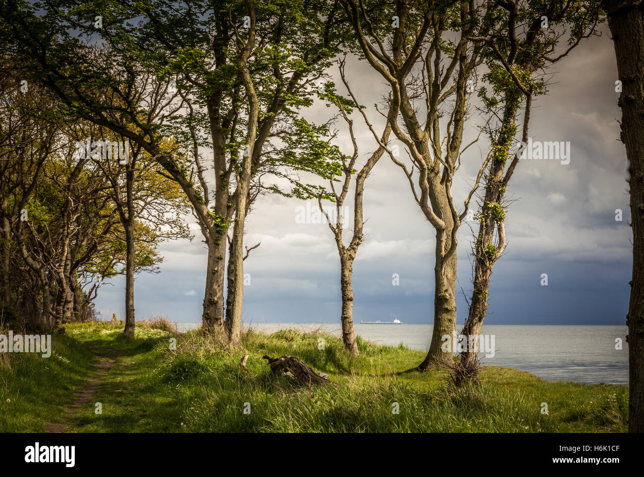 Nature calm view hi-res stock photography and images - Alamy