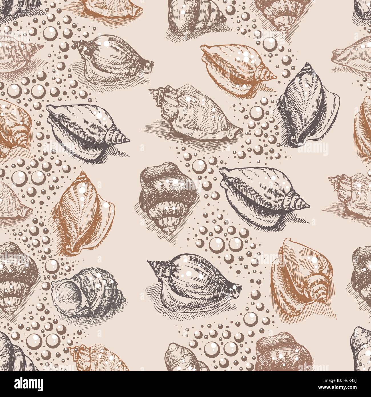 Seashells with bubbles hand drawn vector graphic etching sketch ...