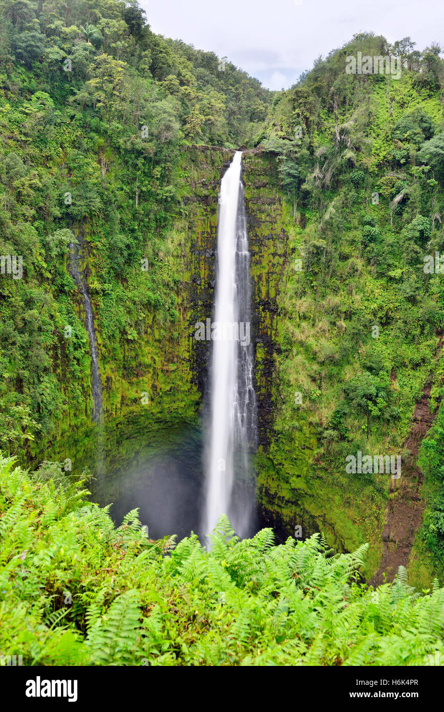 Akaka Falls waterfall in Hawaii Big Island Stock Photo - Alamy