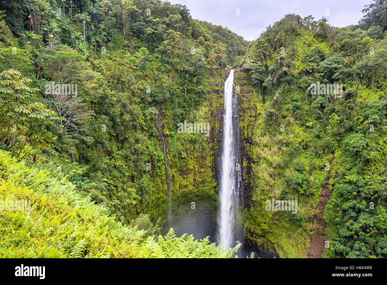 Akaka Falls waterfall in Hawaii Big Island Stock Photo - Alamy