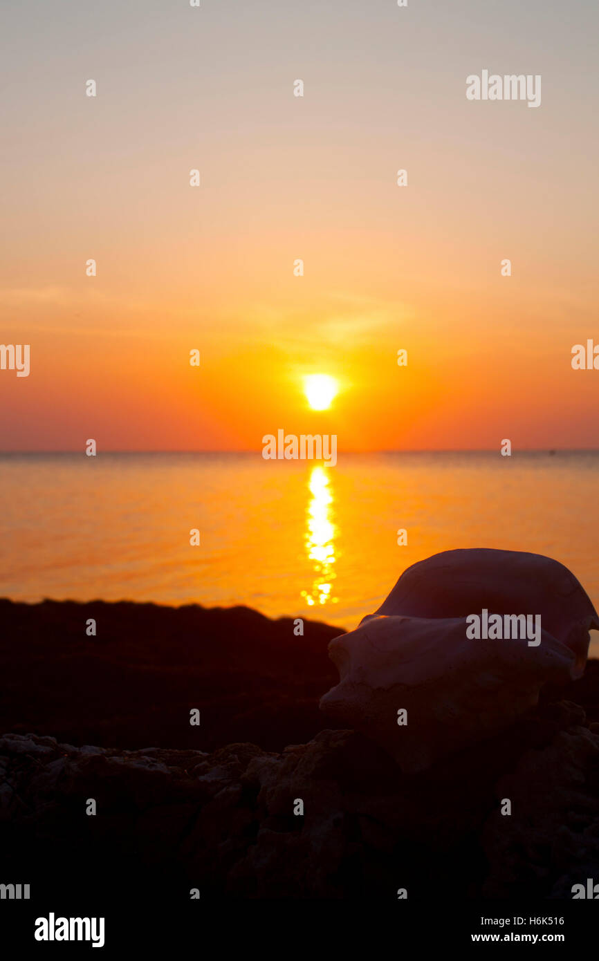 tropical ocean sunset Stock Photo - Alamy