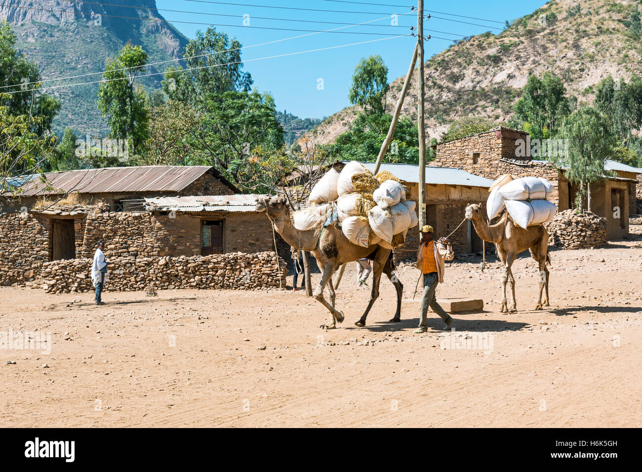 Camel with merchandise crossing the village hi-res stock photography ...
