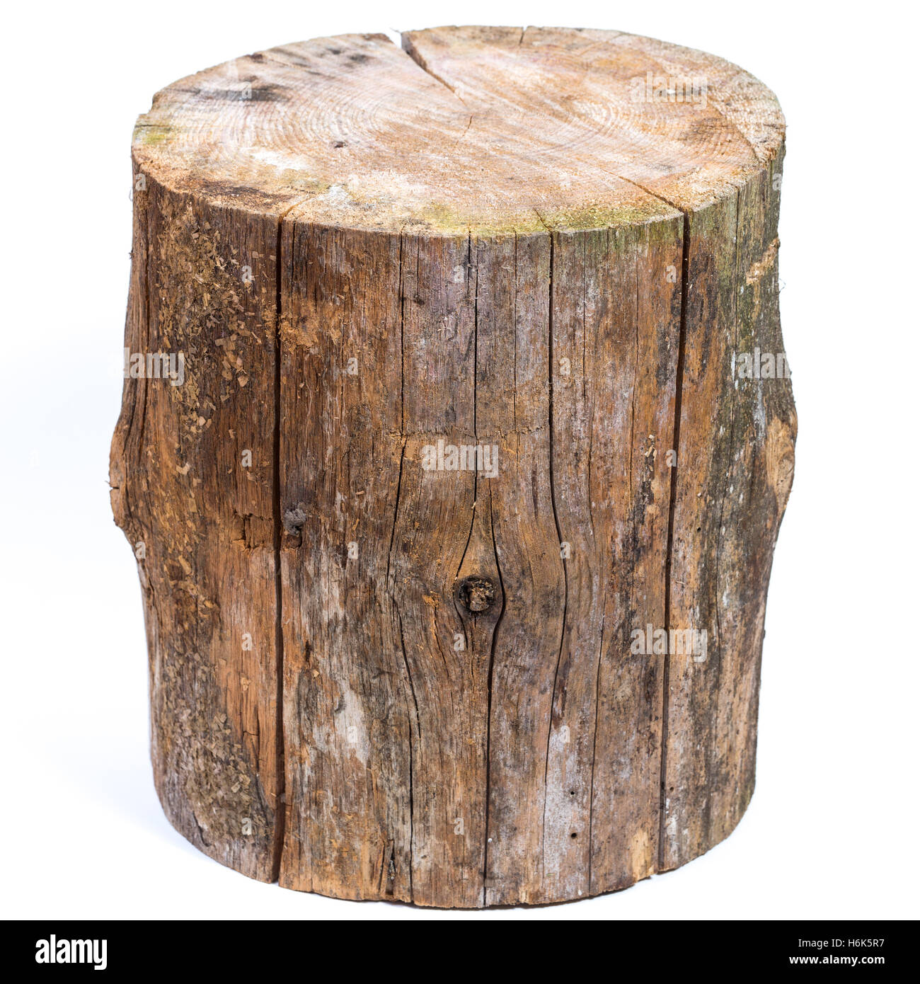 Wood log isolated on a white background Stock Photo - Alamy