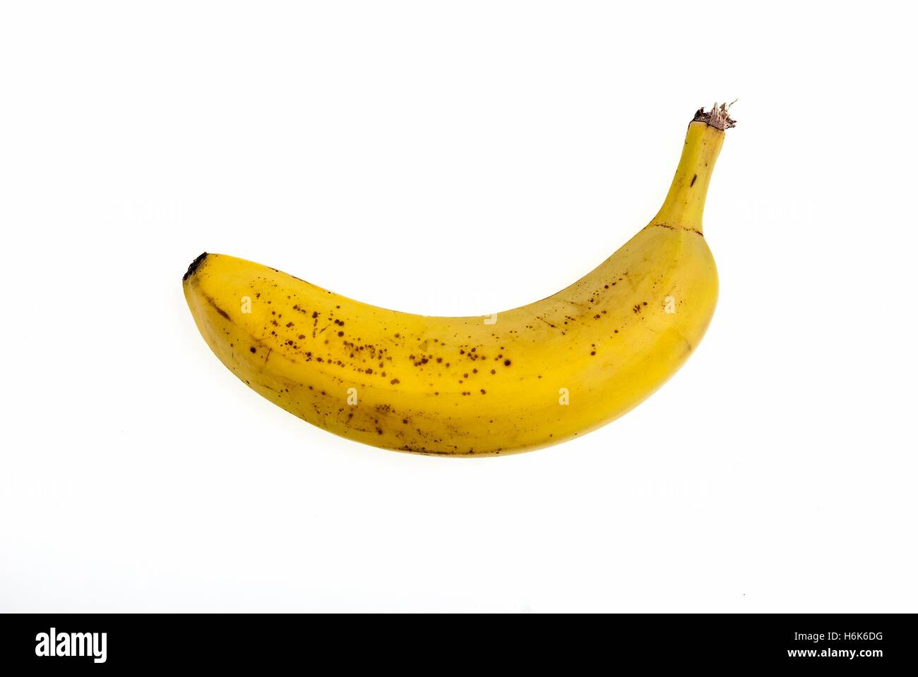 One banana isolated on white hi-res stock photography and images - Alamy