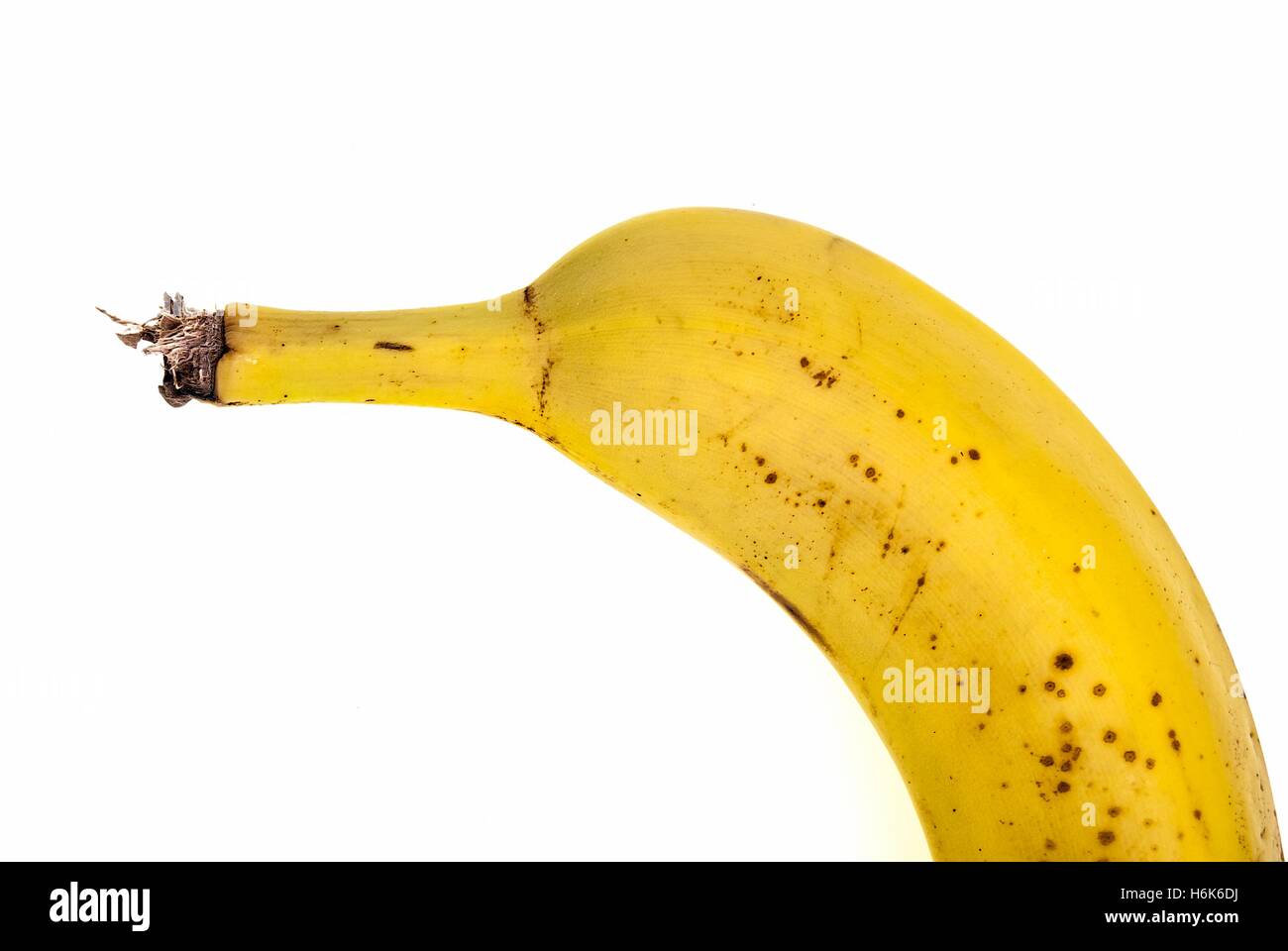One banana isolated on white hi-res stock photography and images - Alamy